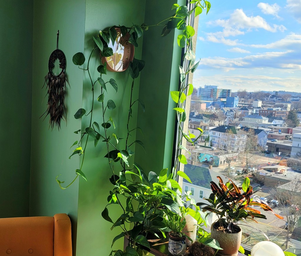 Wintering a Solstice – Darling Mental Health