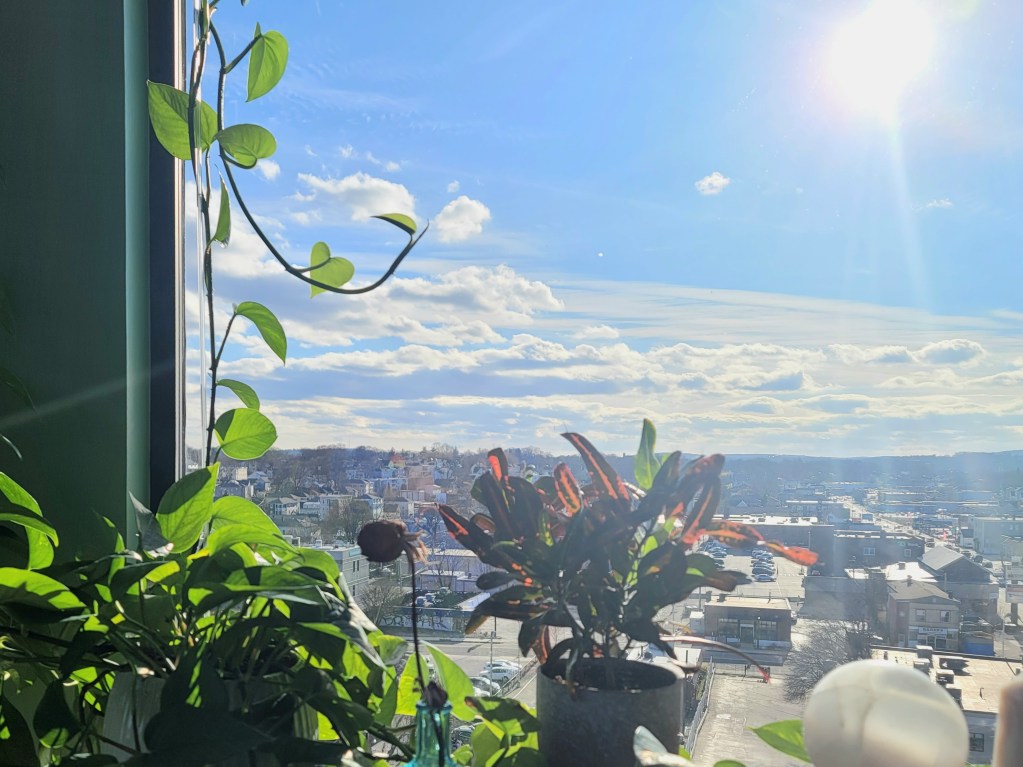 Wintering a Solstice – Darling Mental Health